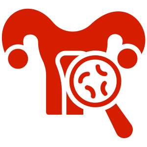 EB Medicine - Interactive Pathways