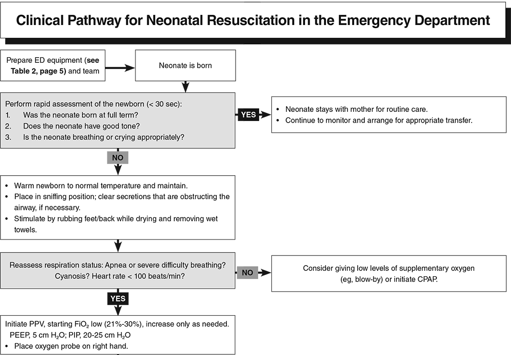 Clinical-Pathway-for-Neonatal-Resuscitation-in-the-Emergency-Department ...