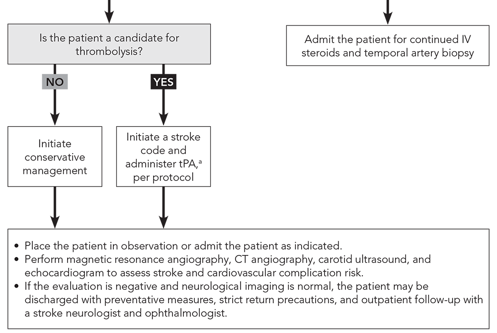 Acute Stroke Care - Current Topics