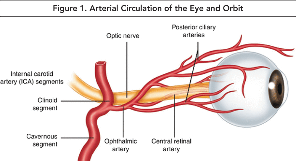 Acute Stroke Care - Current Topics