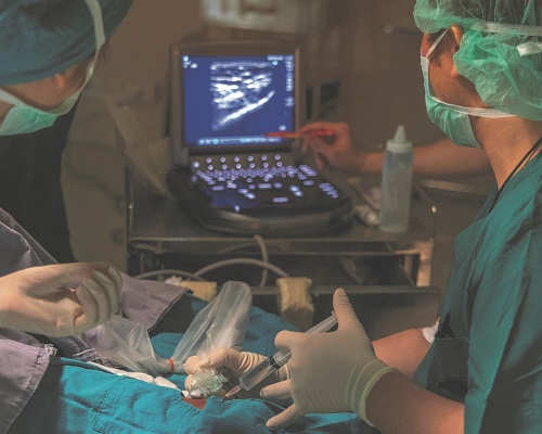 Emergency Medicine & Urgent Care CME | Evidence-Based Education ...