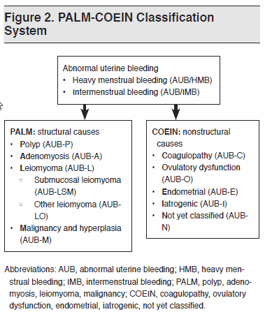 The PALM-COEIN Classification System