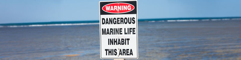 Urgent Care Management of Common Marine Life Injuries and Envenomations ...