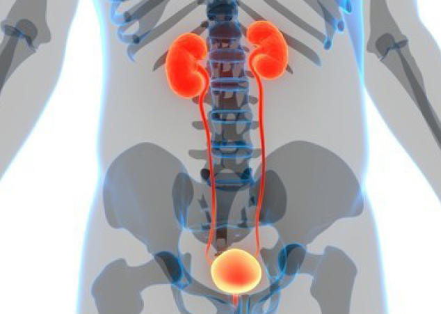 Acute Urinary Retention: Emergency Department Management