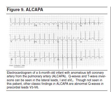 Other Articles Similar To This One: