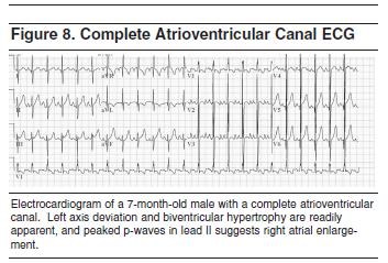 Other Articles Similar To This One: